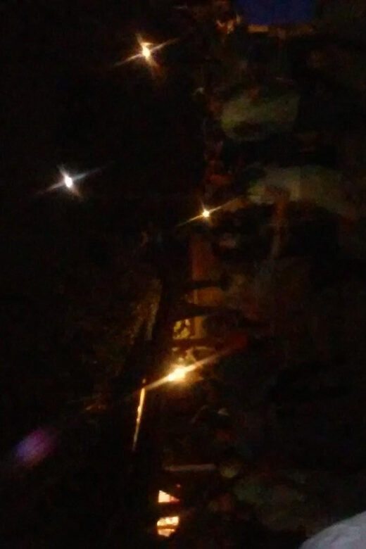 Charleston: Haunted Ghost Tour - A Spectral Adventure! - Who should consider this tour?