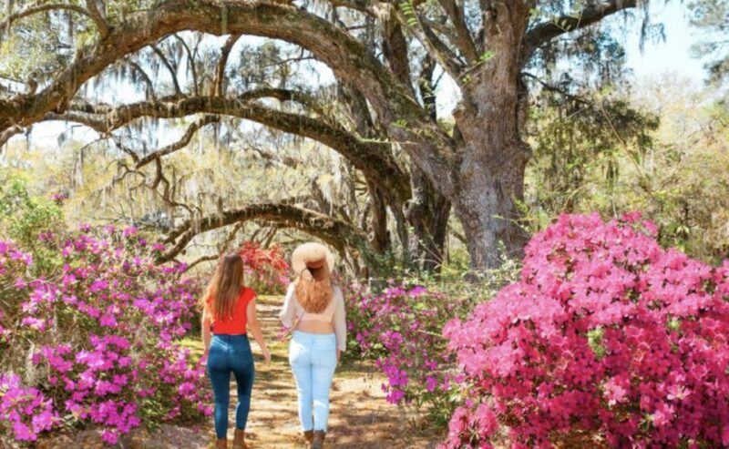 Charleston: Historic City Tour & Magnolia Plantation Combo - Frequently Asked Questions