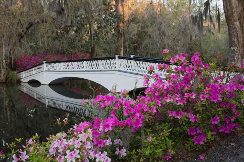 Charleston: Historic City Tour & Magnolia Plantation Combo - Final Thoughts