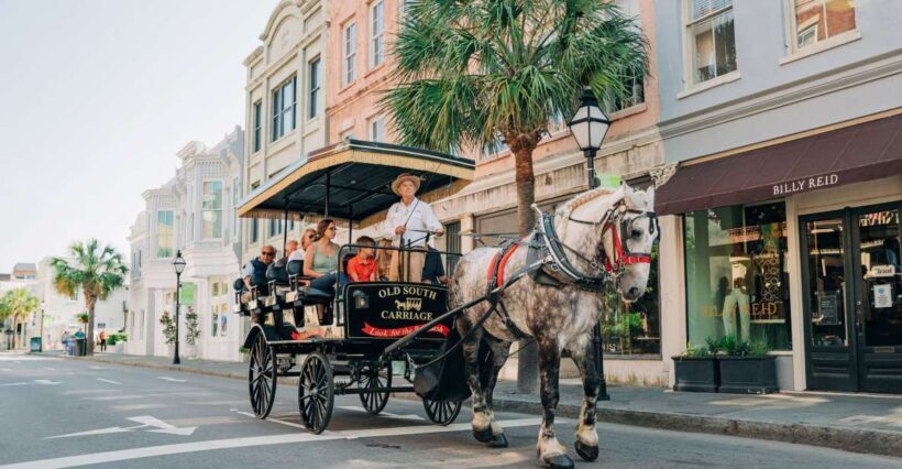 Charleston: Historical Downtown Tour by Horse-drawn Carriage - A Detailed Look at the Experience