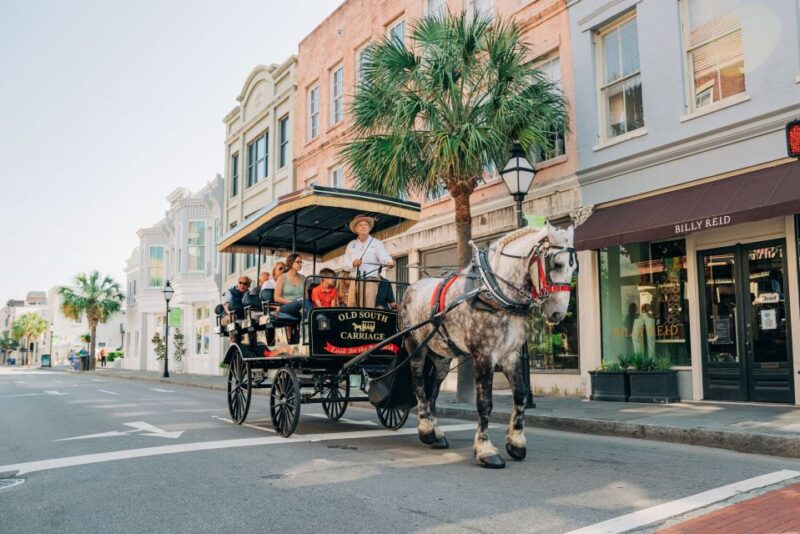 Charleston: Historical Downtown Tour by Horse-drawn Carriage - The Guide Experience
