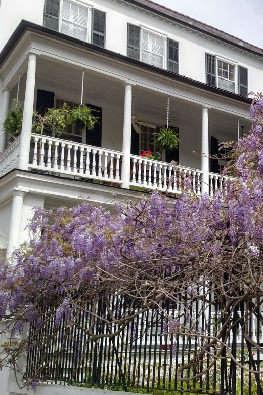 Charleston: Historical Walking Tour with Storytelling - Practical Details: What to Expect