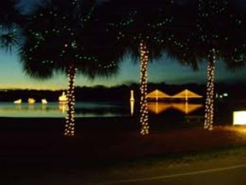 Charleston: Holiday Festival of Lights Tour with S'mores Kit - An Overview of the Festival of Lights Experience