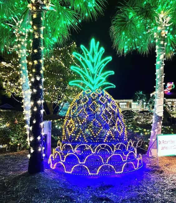 Charleston: Holiday Festival of Lights Tour with S'mores Kit - Roasting Smores and Holiday Snacking