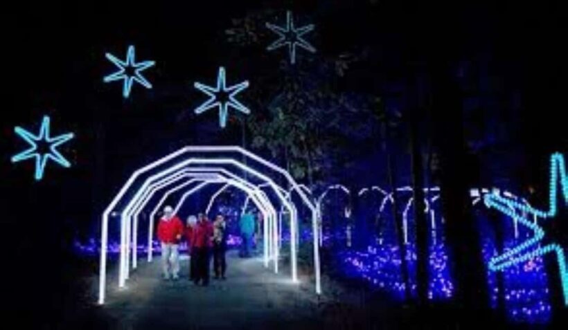 Charleston: Holiday Festival of Lights Tour with S'mores Kit - Practical Tips for Visitors