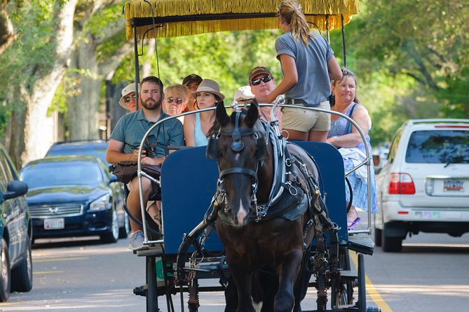 Charleston Horse & Carriage Historic Sightseeing Tour - Who Is This Tour Best For?