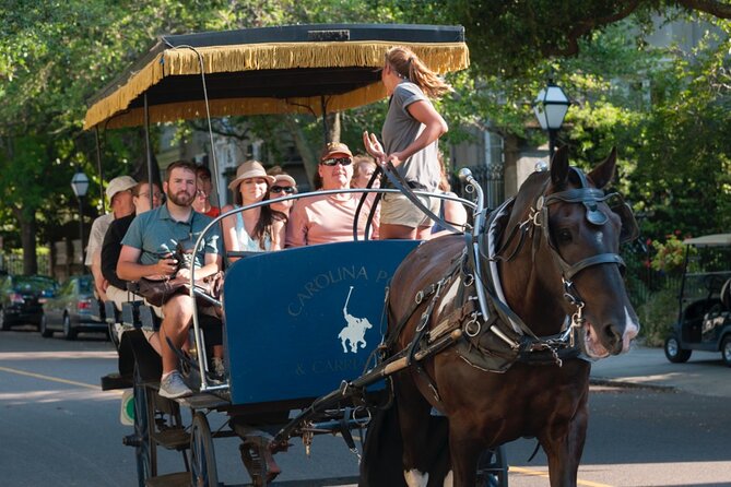 Charleston Horse & Carriage Historic Sightseeing Tour - Final Thoughts