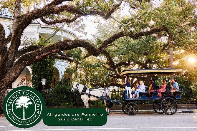 Charleston Horse-Drawn Carriage Tour: Explore Historic Charleston - The Sum Up