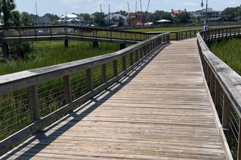 Charleston: Low Country and Shores E-Bike Tour - The Sum Up