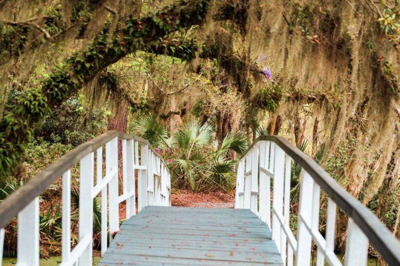 Charleston: Magnolia Plantation Entry & Tour with Transport - Introduction to Magnolia Plantation & Gardens