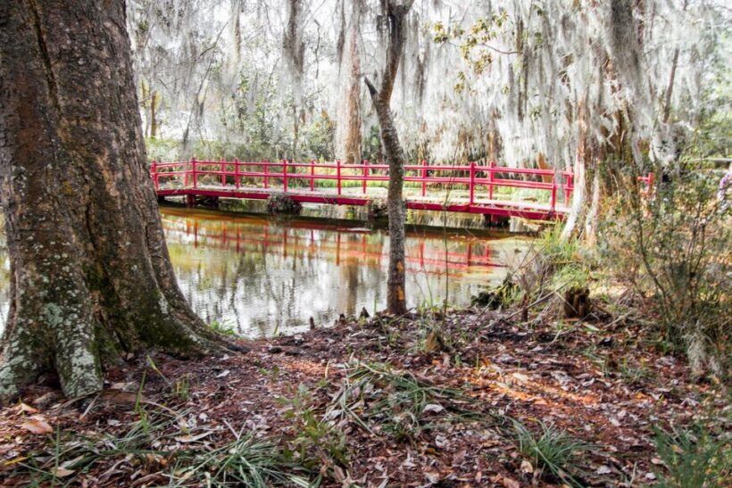 Charleston: Magnolia Plantation Entry & Tour with Transport - The Experience in Context
