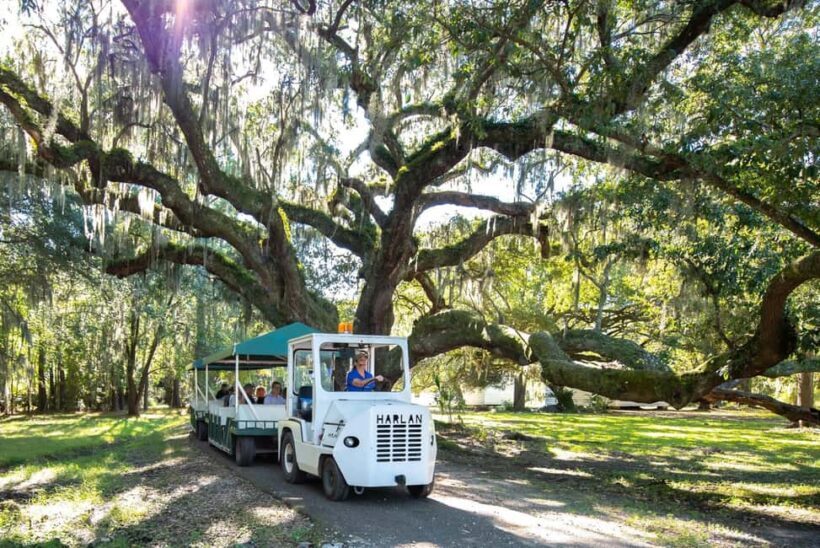 Charleston: Magnolia Plantation & Gardens Guided Tour - What We Love About This Tour