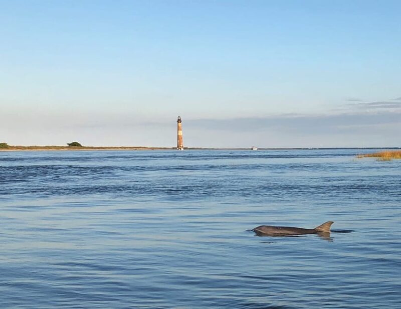 Charleston: Morris Island Dolphin Cruise with Beachcombing - FAQ