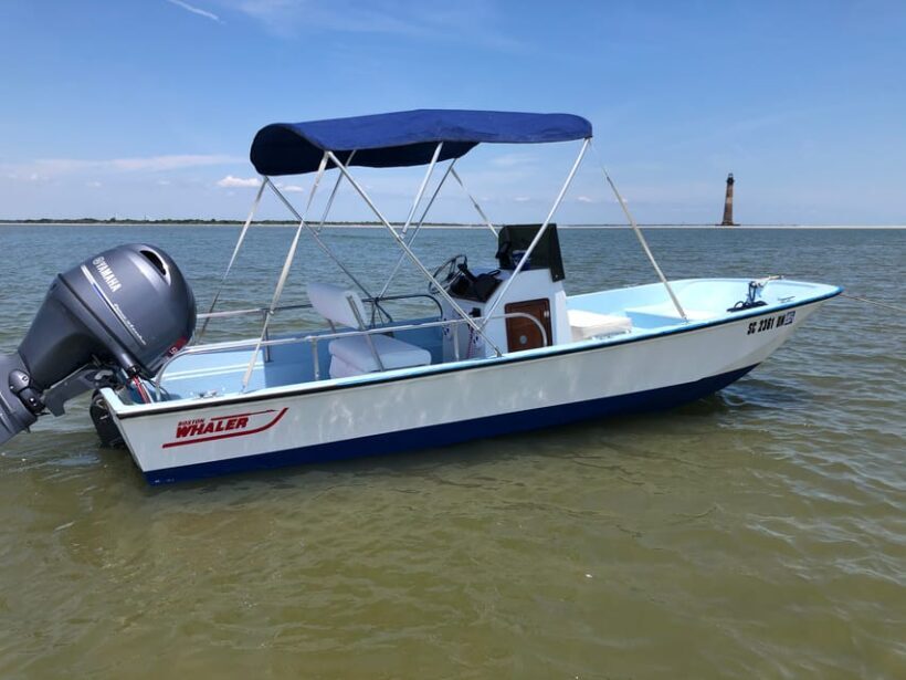 Charleston: Morris Island Dolphin Cruise with Beachcombing - Overview of the Experience