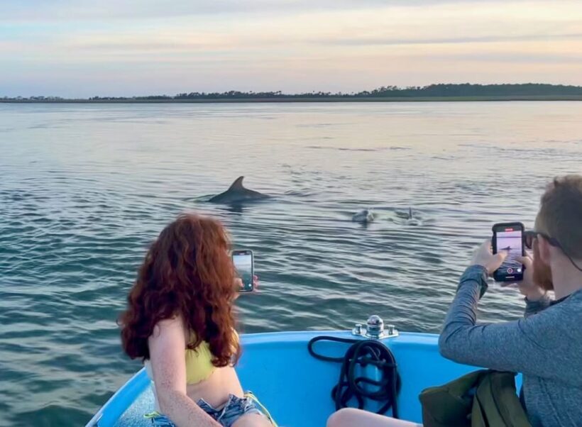 Charleston: Morris Island Dolphin Cruise with Beachcombing - Dolphin Sightings and Wildlife Encounters