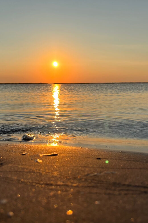 Charleston: Morris Island Dolphin Cruise with Beachcombing - The Trip’s Practical Details