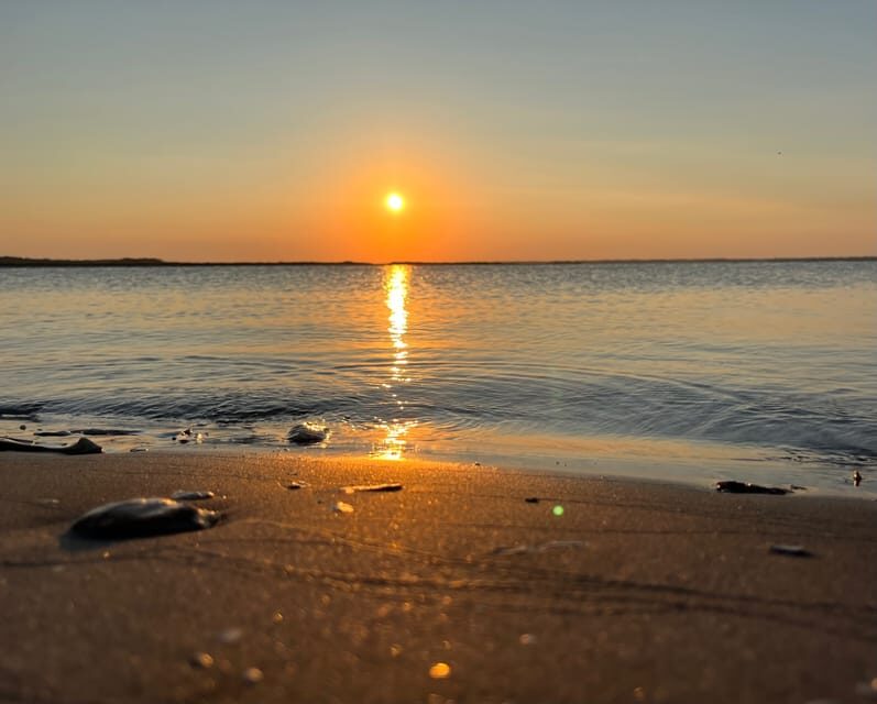 Charleston: Morris Island Dolphin Cruise with Beachcombing - Authentic Experiences from Past Travelers