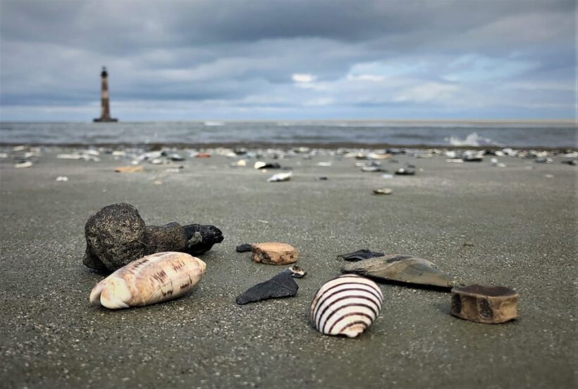 Charleston: Morris Island Dolphin Cruise with Beachcombing - FAQs