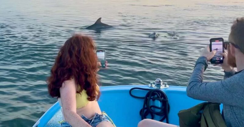 Charleston: Morris Island Dolphin Cruise with Beachcombing - What Our Reviewers Say