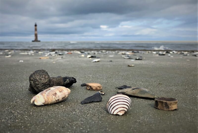 Charleston: Morris Island Dolphin Cruise with Beachcombing - Who Will Love This Tour?