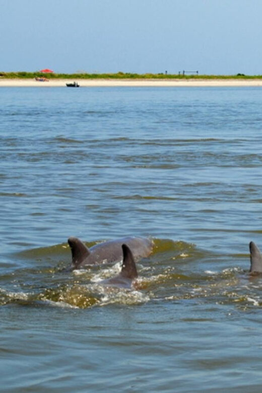 Charleston: Morris Island Lighthouse Eco-Boat Tour - Authentic Experiences from Travelers