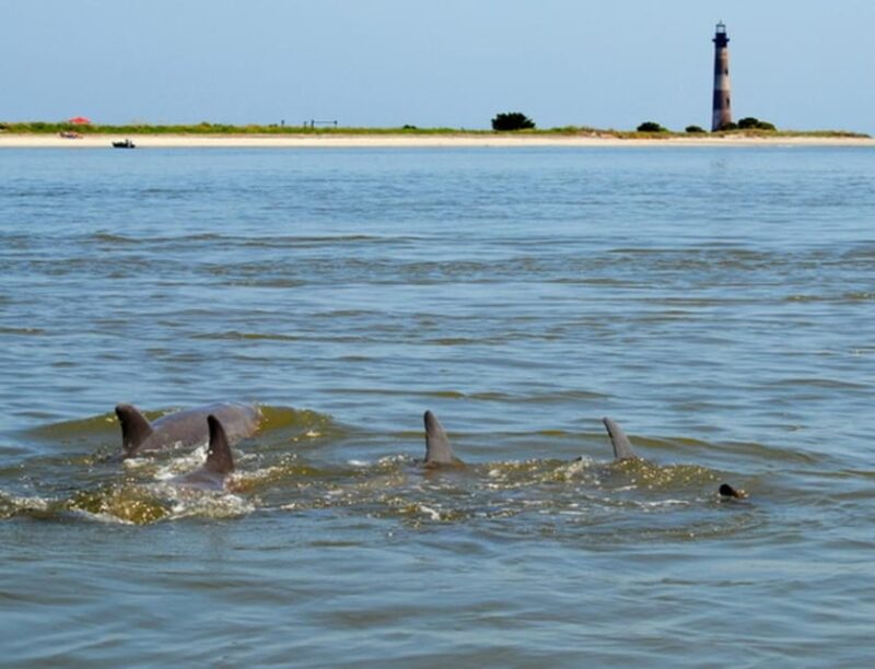 Charleston: Morris Island Lighthouse Eco-Boat Tour - Authentic Experiences and Authentic Guides