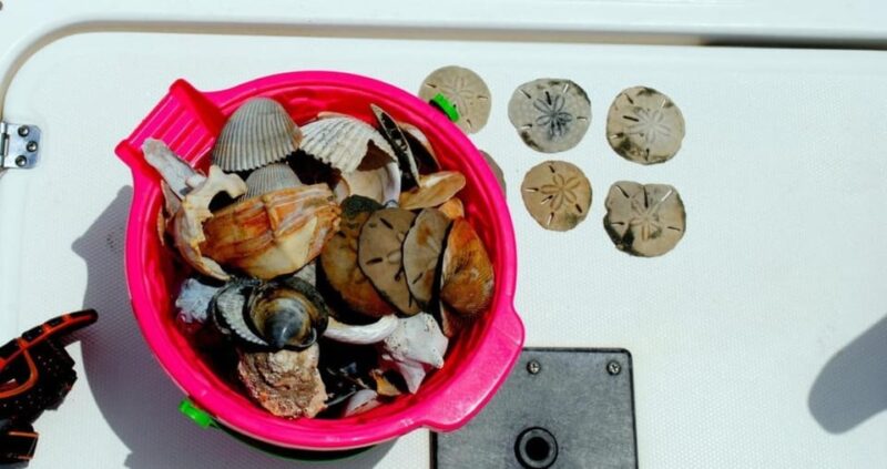 Charleston: Morris Island Lighthouse Eco-Boat Tour - The Sum Up