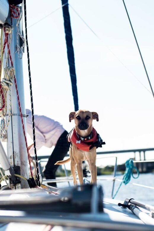 Charleston: Private BYOB Luxury Yacht Cruise - FAQ