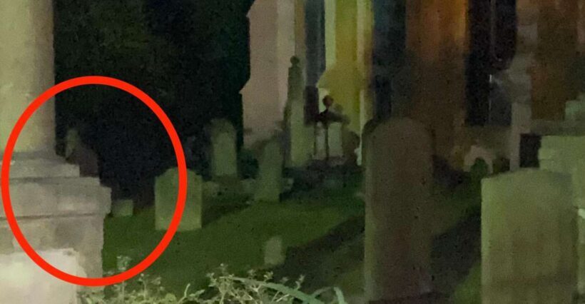 Charleston: Real Hauntings of Charleston Guided Tour - Why the Price Is Worth It