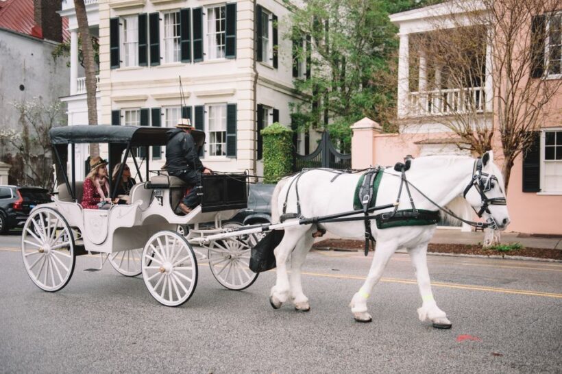 Charleston, SC: Private Daytime Horse-Drawn Carriage Ride - An Immersive Look at the Carriage Tour Experience