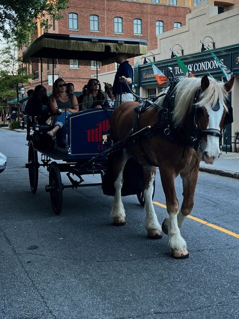 Charleston, SC: Private Evening Horse & Carriage Tour - A Scenic, Storytelling Ride Through Charleston’s Heart