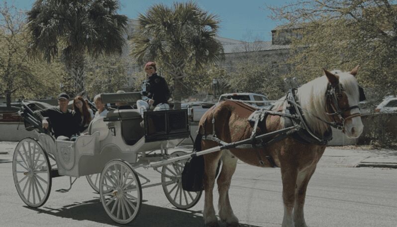 Charleston, SC: Private Evening Horse & Carriage Tour - The Value of a Private, Guided Experience