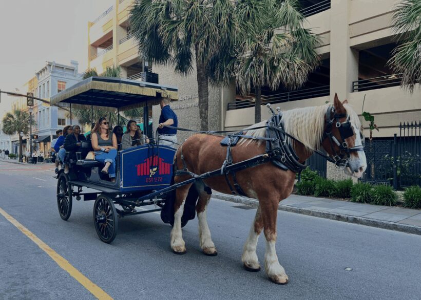 Charleston, SC: Private Evening Horse & Carriage Tour - Practical Details and Considerations