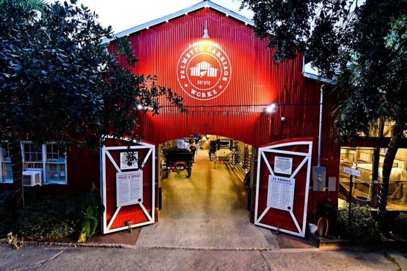 Charleston, SC: Private Evening Horse & Carriage Tour - Authentic, Enjoyable, and Informative — Who Will Love It?