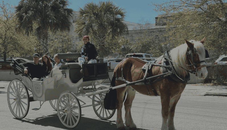 Charleston, SC: Private Evening Horse & Carriage Tour - The Itinerary: What You’ll See and Hear