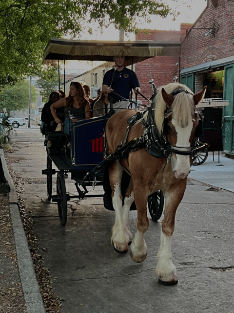 Charleston, SC: Private Evening Horse & Carriage Tour - The Value of a Private, Personalized Tour