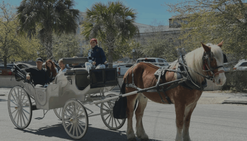 Charleston, SC: Private Evening Horse & Carriage Tour - FAQs