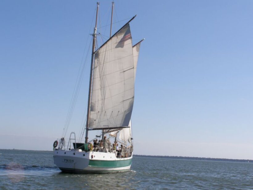 Charleston: Schooner Sailing Harbor Tour & Dolphin Watch - A Closer Look at the Experience