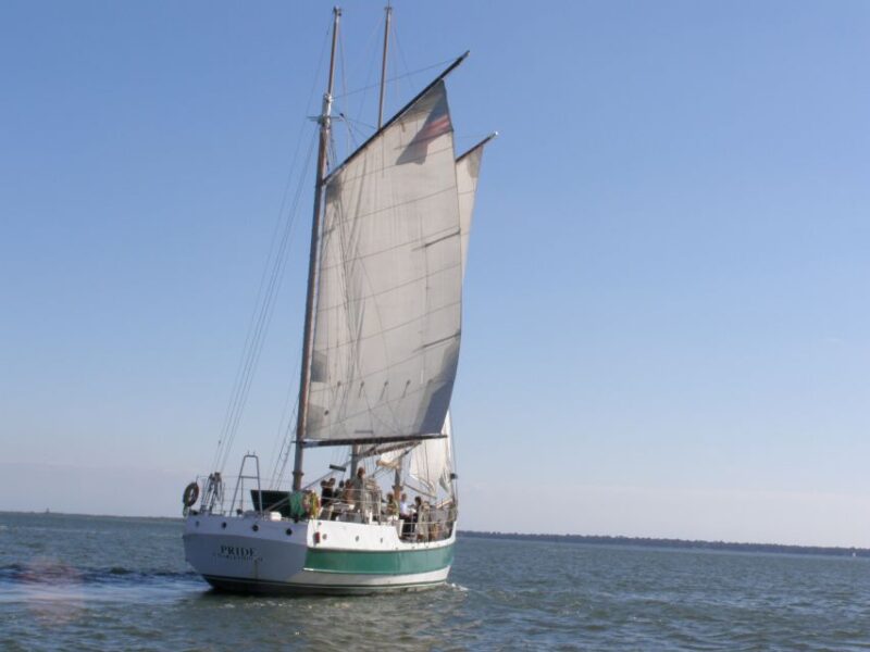 Charleston: Schooner Sailing Harbor Tour & Dolphin Watch - The Experience and What It Means for You