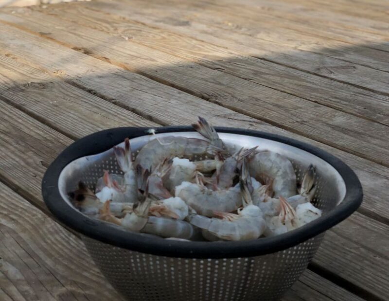 Charleston: Shem Creek Culture Tour - Introduction