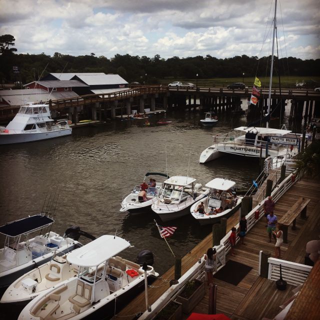 Charleston: Shem Creek Culture Tour - Nature and Wildlife on a Marshboardwalk