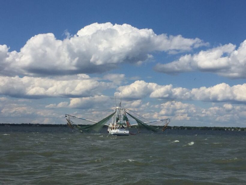 Charleston: Sunset Harbor Cruise - FAQ