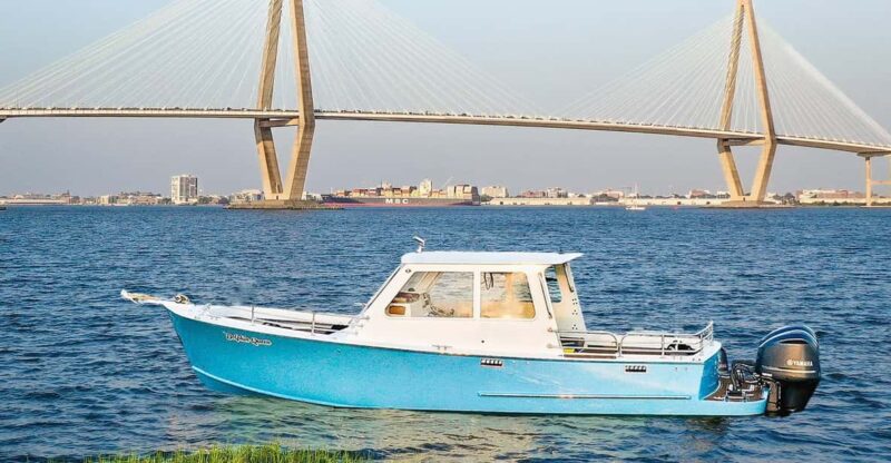 Charleston: Sunset Harbor Cruise for Dolphin Watching - Departure Details and Practicalities