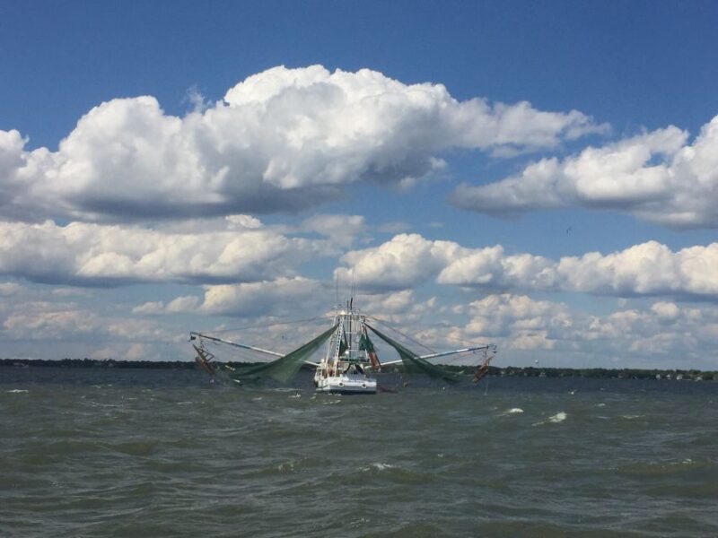 Charleston: Sunset Harbor Cruise - The Atmosphere and Onboard Experience