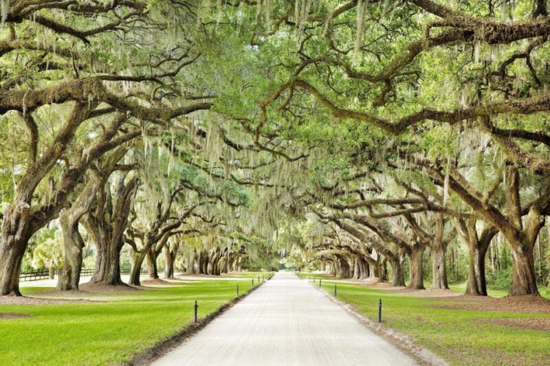Charleston: Tour Pass with 40+ Attractions - What’s Included and How It Works