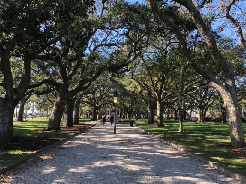 Charleston: Walking History and Bar Tour - Authentic Experiences Based on Reviews