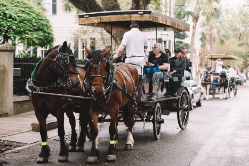 Charleston:Evening Haunted History Horse-Drawn Carriage Tour - Key Points
