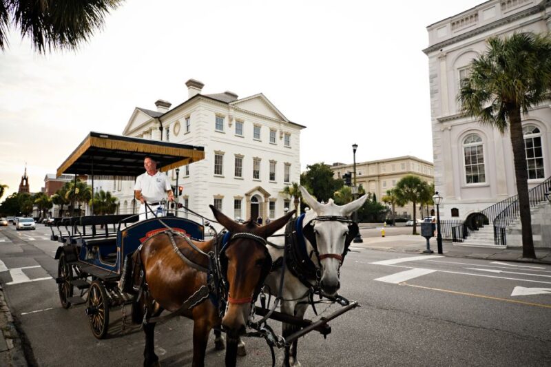Charleston:Evening Haunted History Horse-Drawn Carriage Tour - What the Reviews Say
