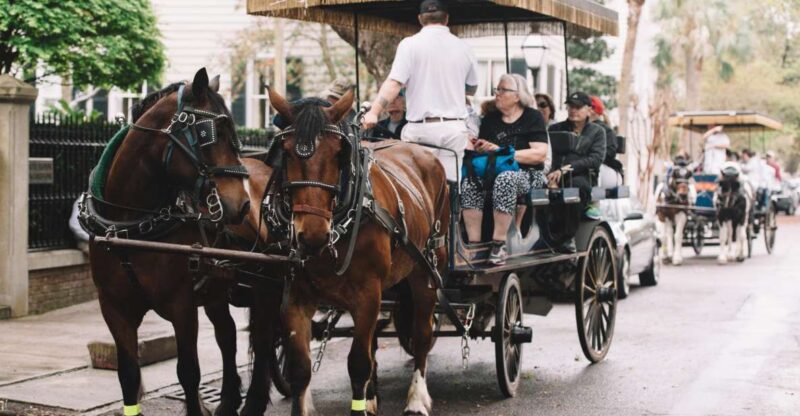 Charleston:Evening Haunted History Horse-Drawn Carriage Tour - Who Should Consider This Tour?