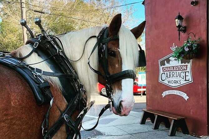 Charleston's Historic Residential Horse and Carriage Tour - Key Points